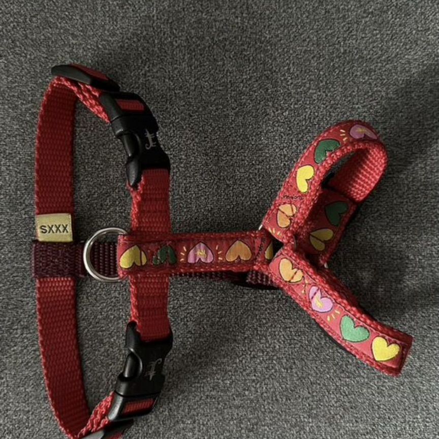 Шлейка шарик дог