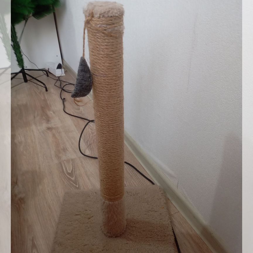 Когтеточка для кошки