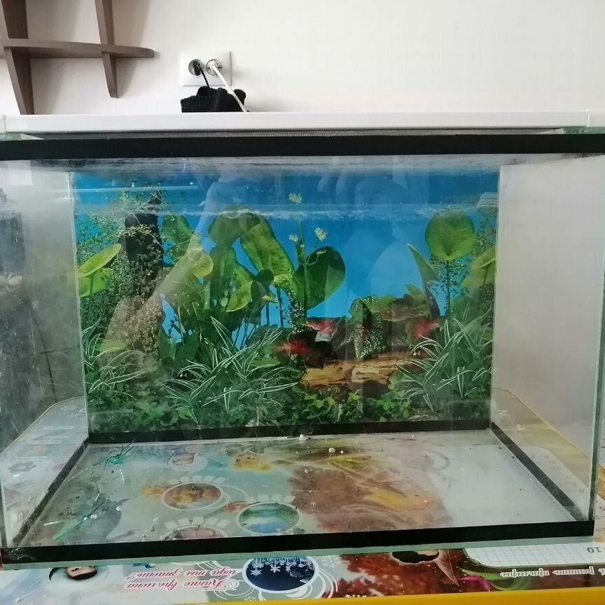 Аквариум 106 литров