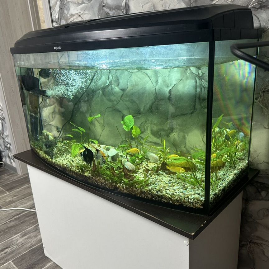 Аквариум с тумбой 180-190 литров