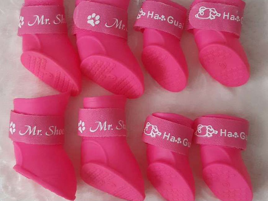 Ботинки для маленьких собак