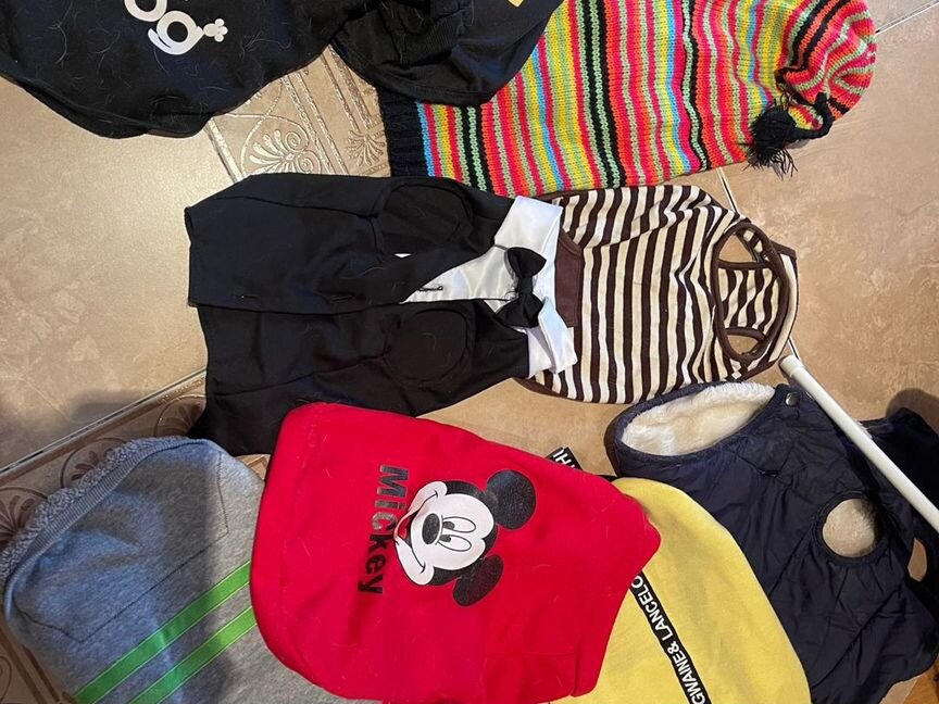 Одежда для маленьких собак