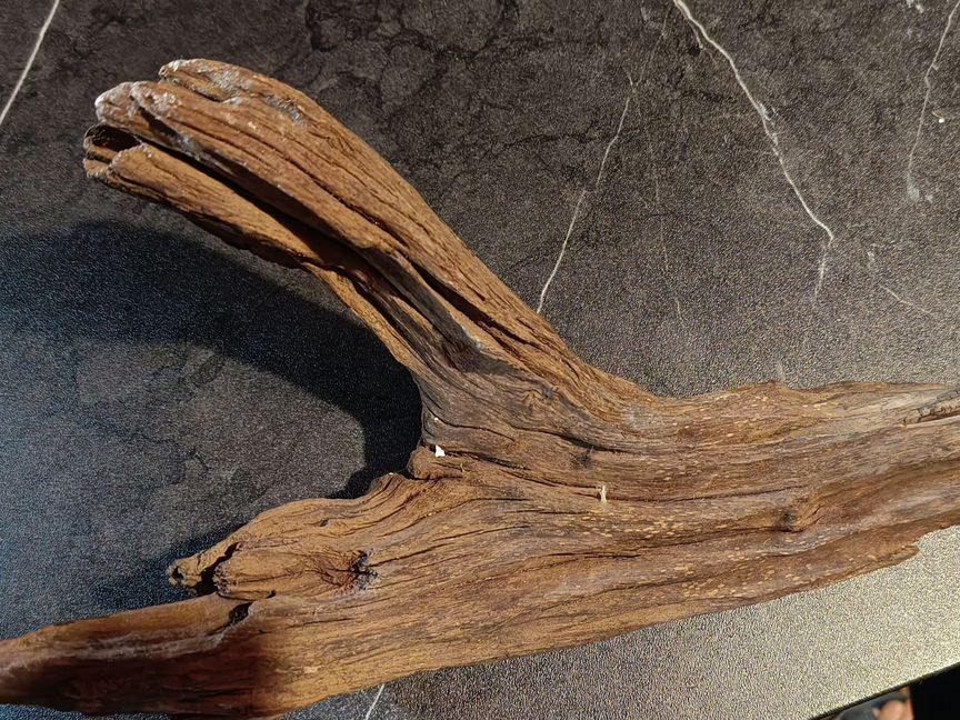 Аквариумные украшения