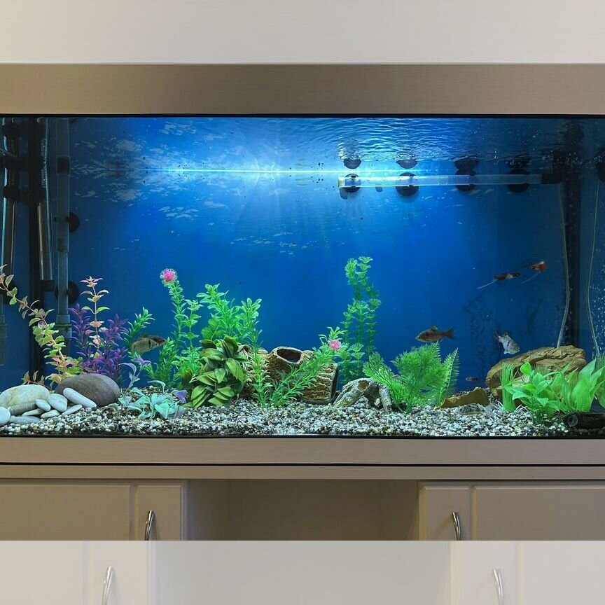 Аквариум 180 литров с тумбой