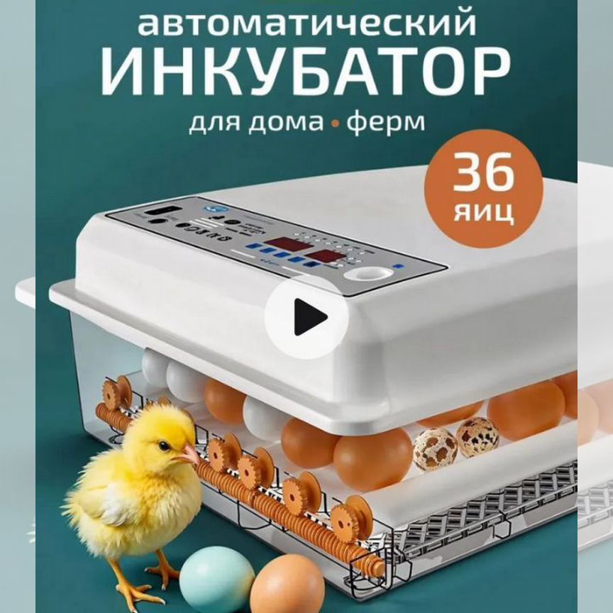 Инкубатор для яиц автоматический