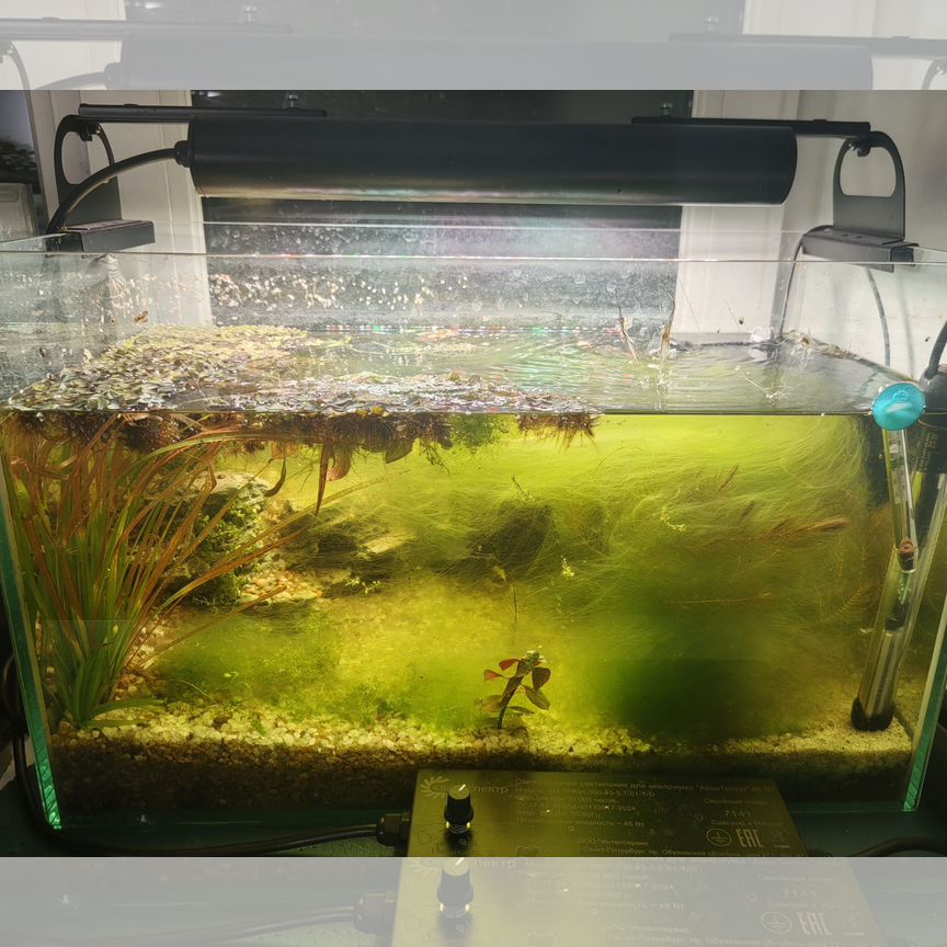 Аквариум с оборудованием