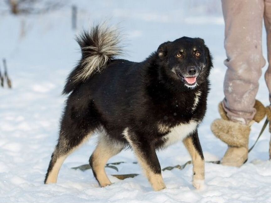 Принцесса Скай