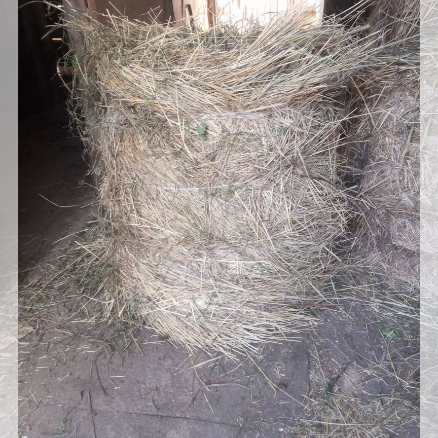 Сено в мини рулонах