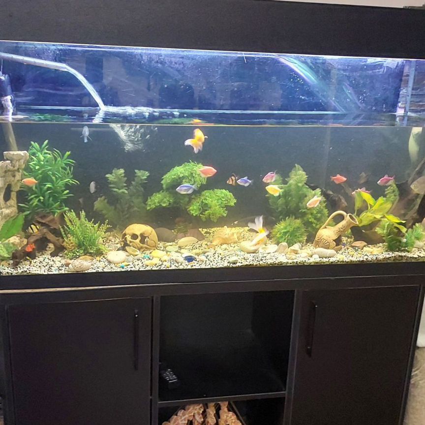 Аквариум с тумбой