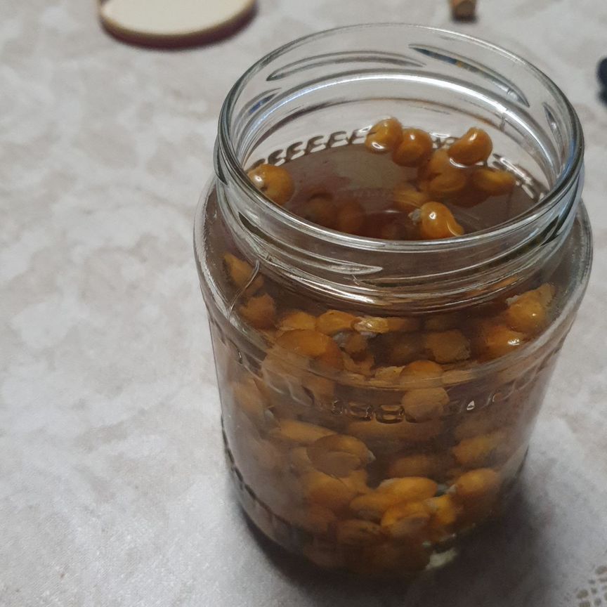 Улитка ампулярия желтая