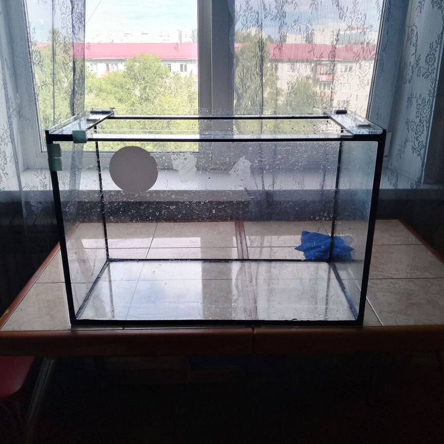 Аквариум бесплатно
