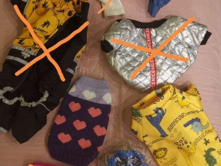 Кофточки для собачки