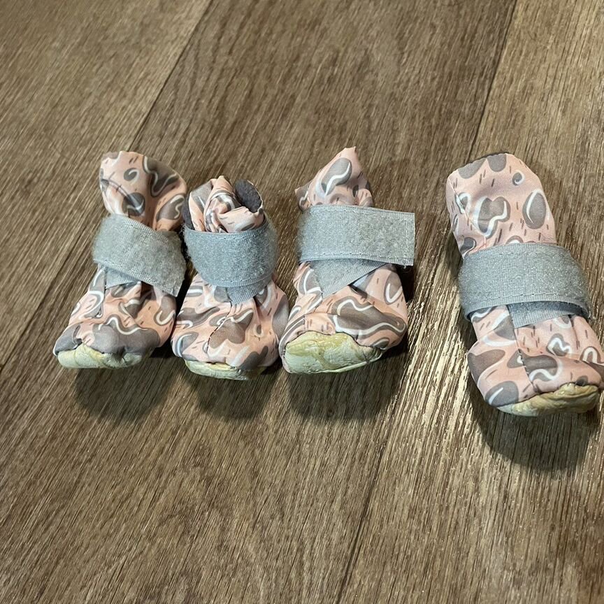 Обувь для маленьких собак