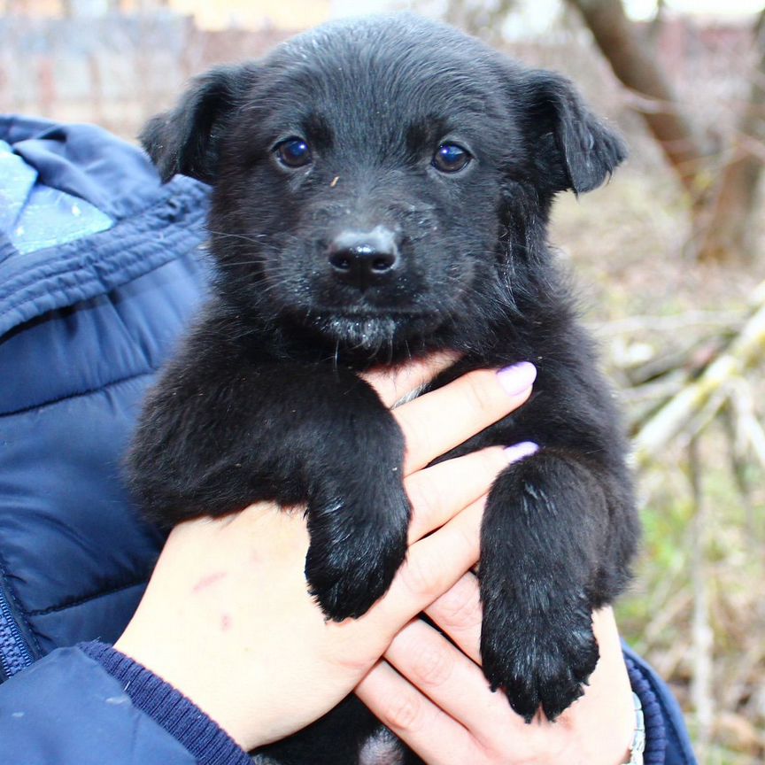 Мальчику нужна семья