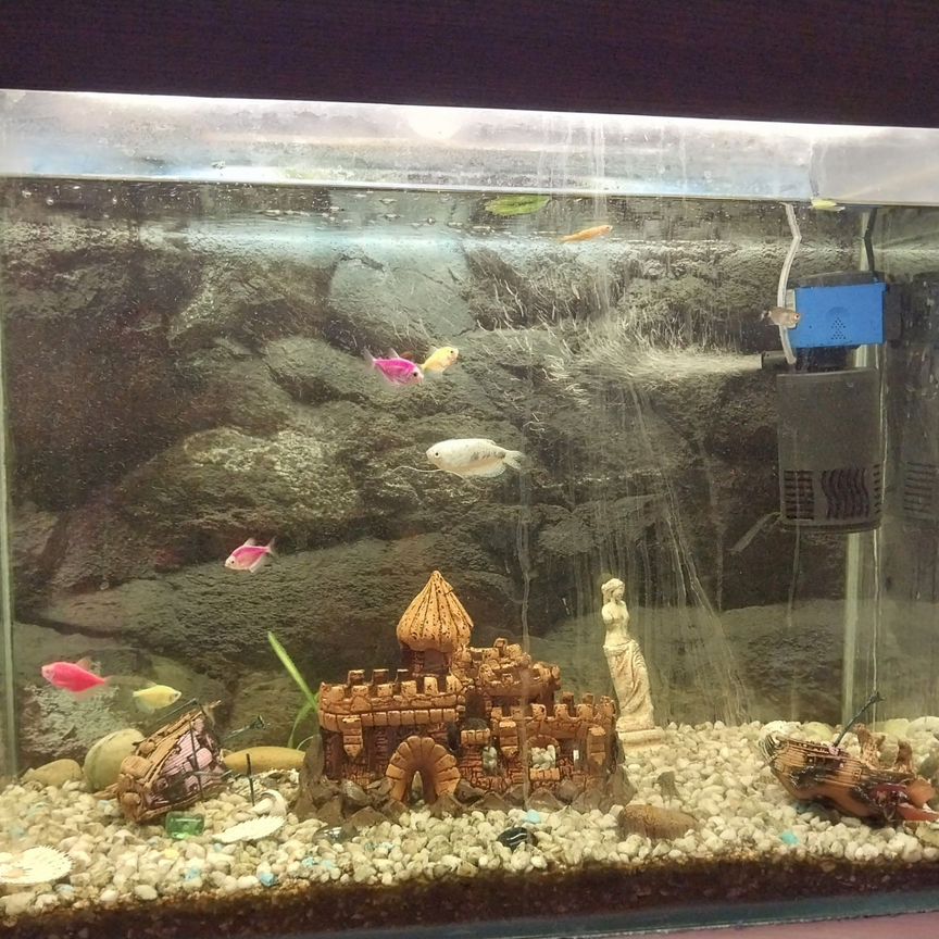 Аквариум