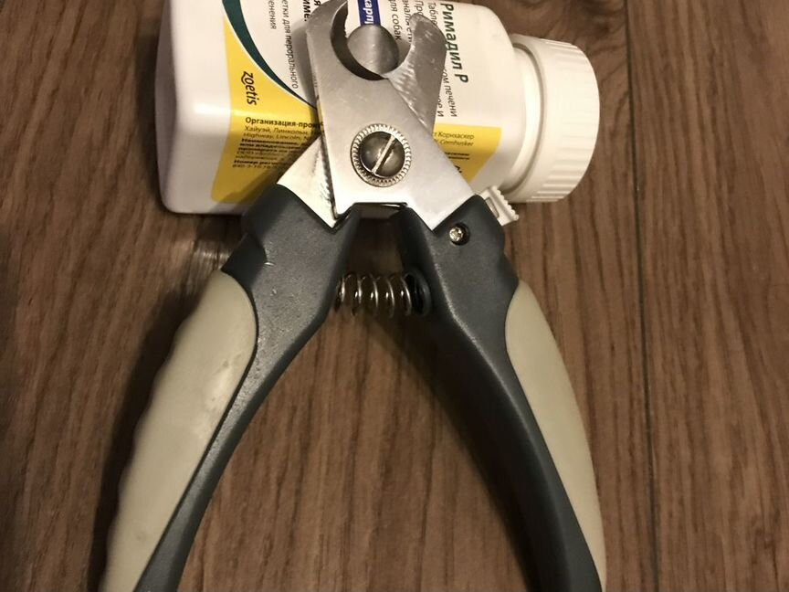 Коктерз для собак