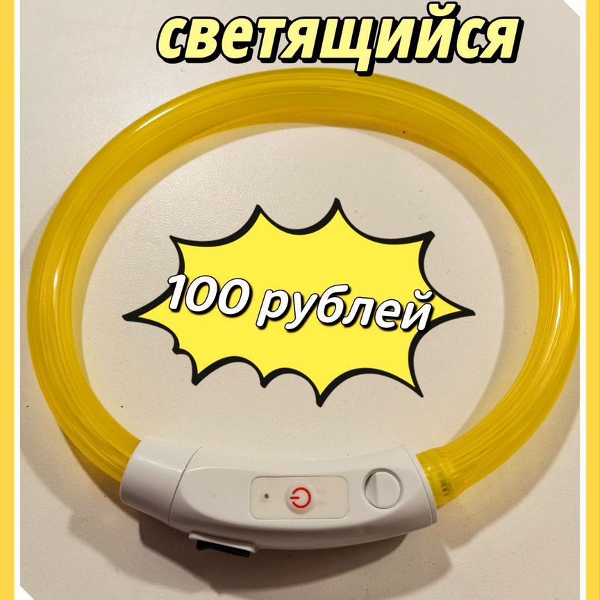 Светящийся ошейник