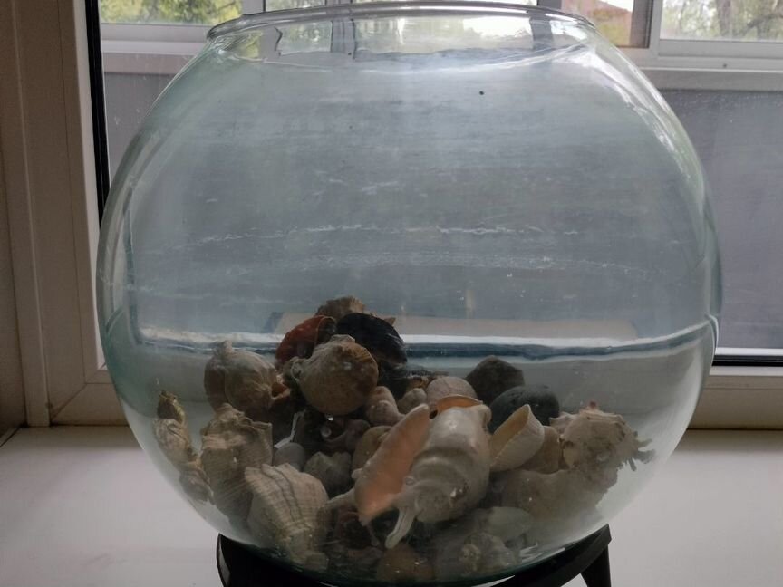 Аквариум с украшениями