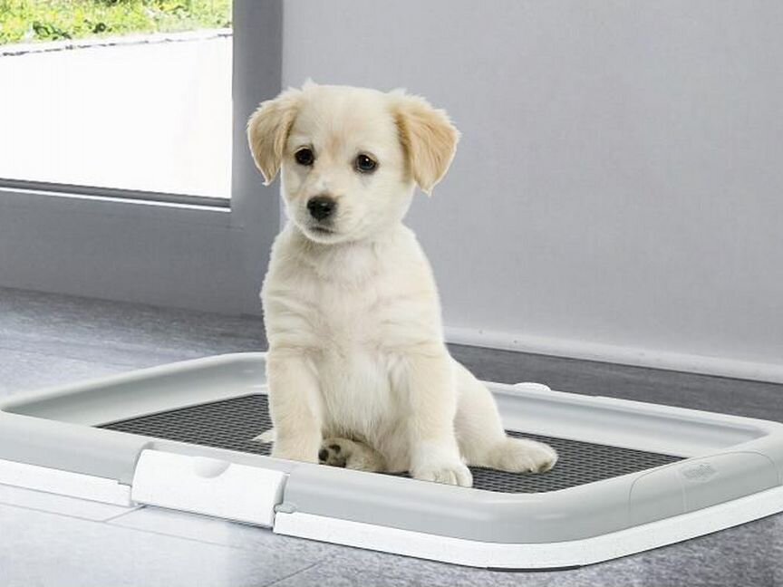 Stefanplast набор для приучения к туалету щенков