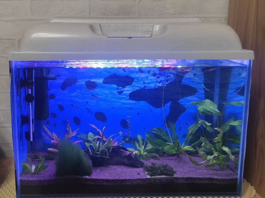 Аквариум 60 литров + рыбки + полный комплект