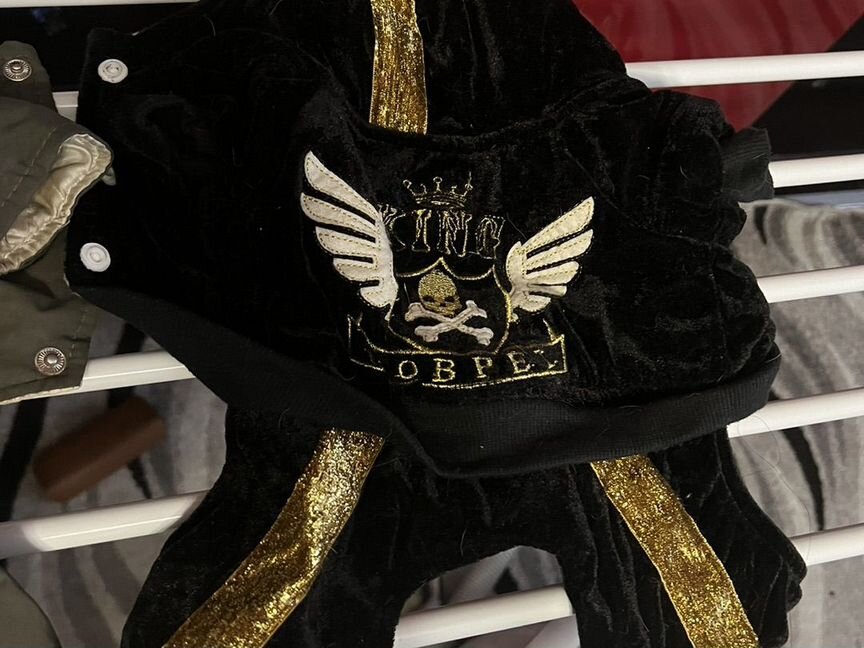 Одежда для собак мелких пород пакетом