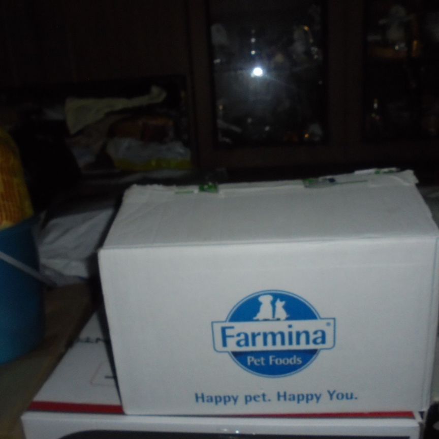 Farmina Vet Life Hepatic для кошек при заболевании