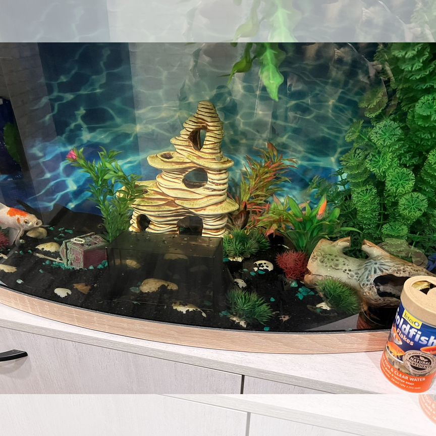 Аквариумные рыбки aquaplus