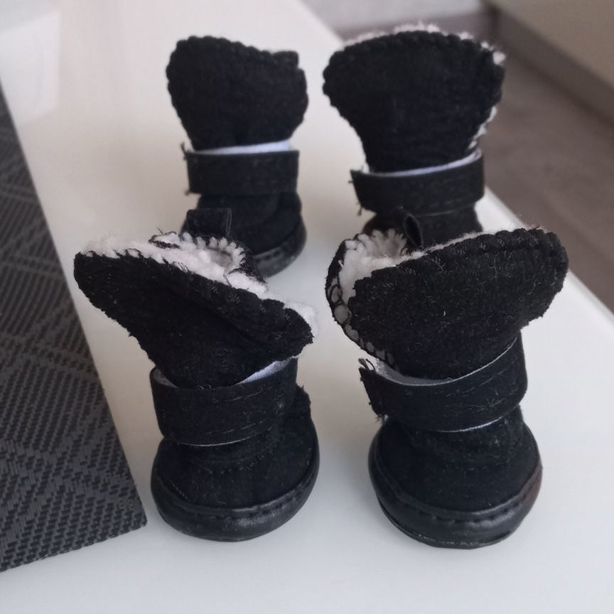 Угги на собаку