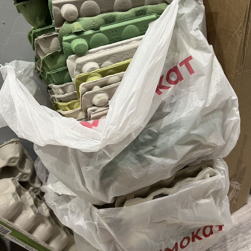 Яичные лотки