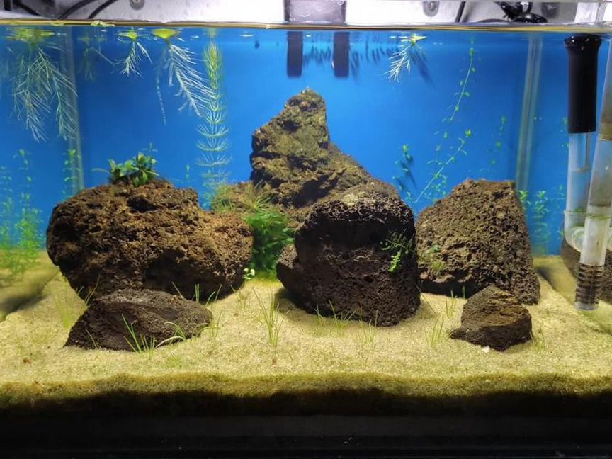 Аквариум с подсветкой