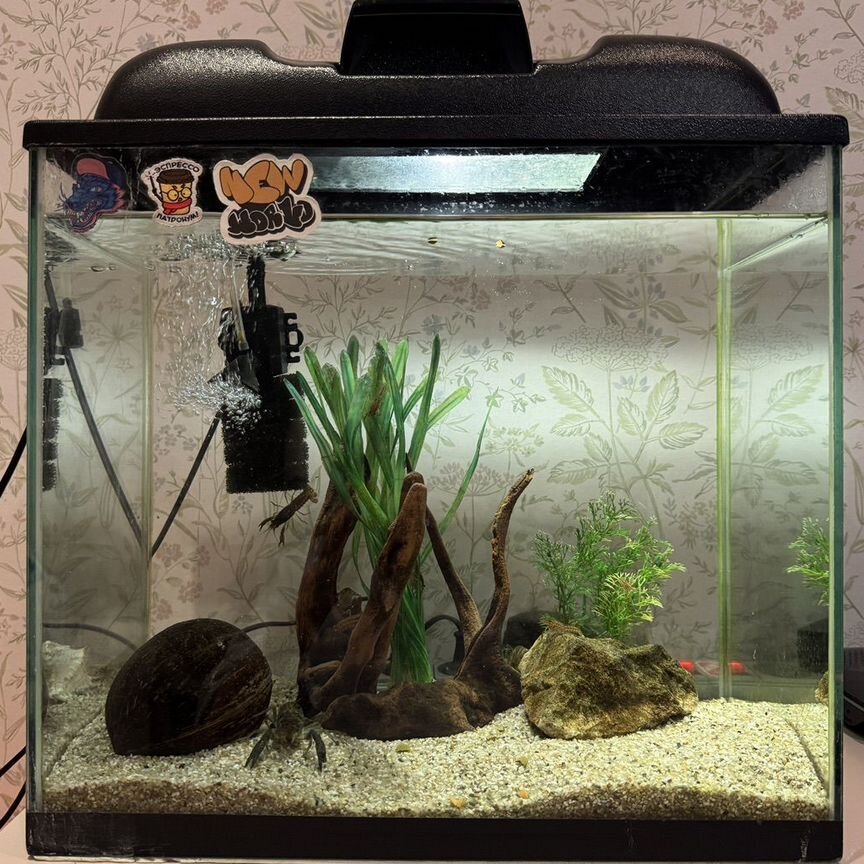 Аквариум с раками