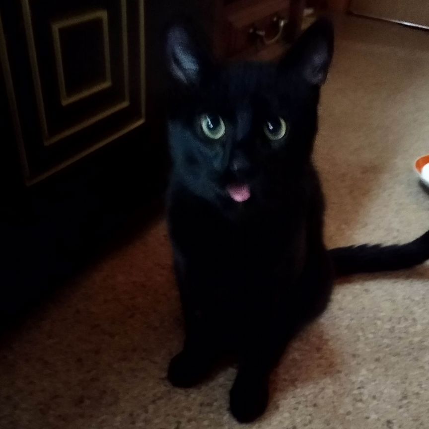 Нужны любящие, надёжные ручки для девочки