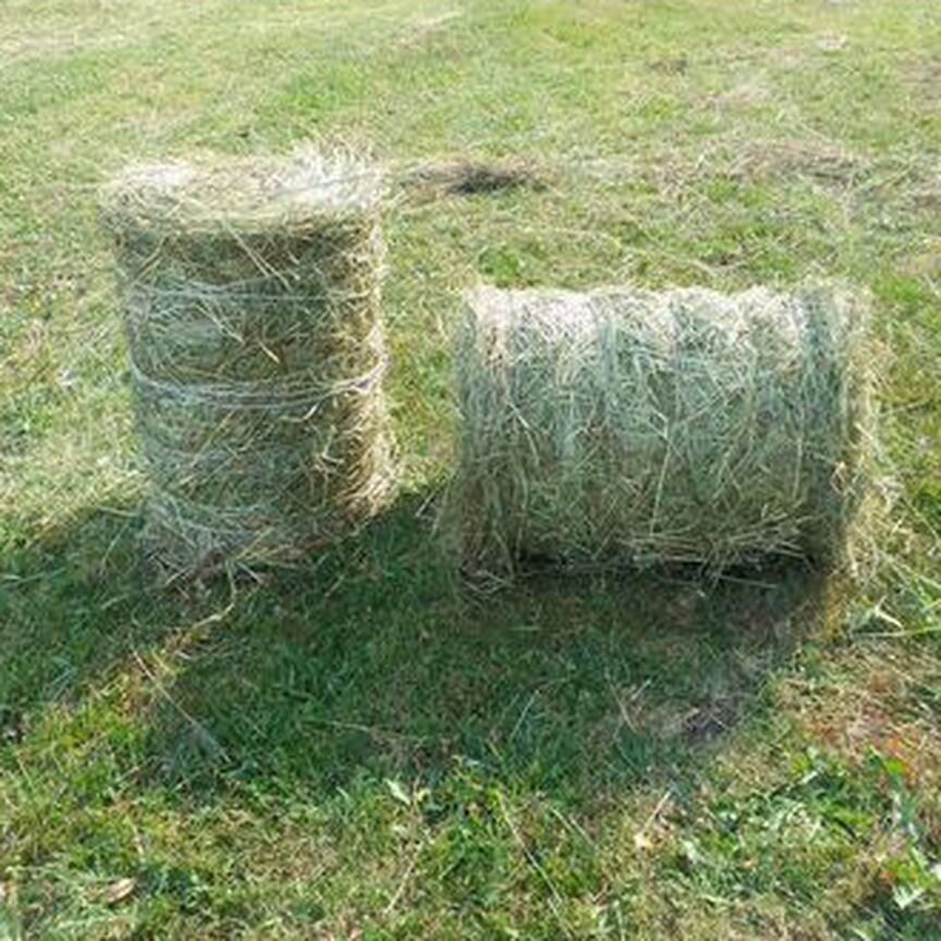 Сено в мини рулонах