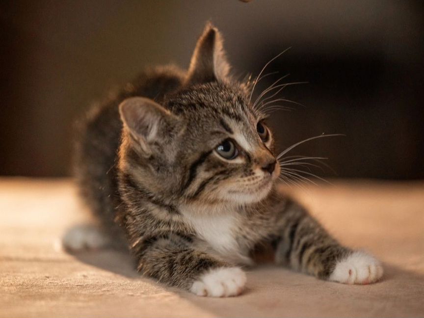 Милота 2 мес