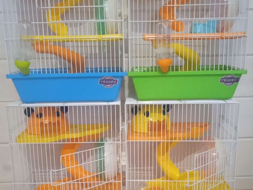 Клетка для хомяка ассортимент(хомячки)