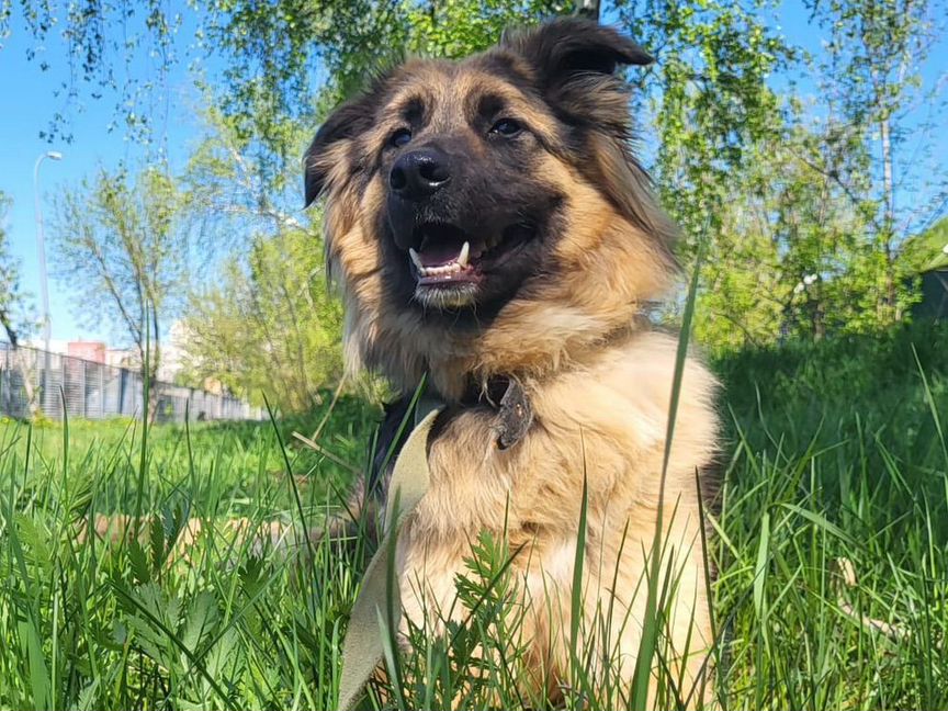 Молодой мальчишка ищет семью