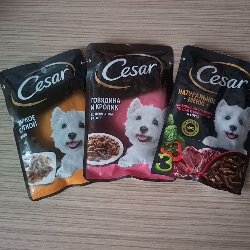 Корм для собак