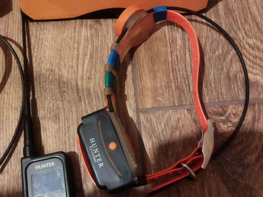 Gps ошейник для собак