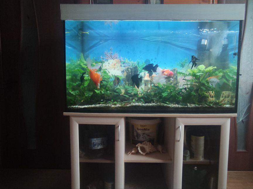 Аквариум 360 литров, без рыб