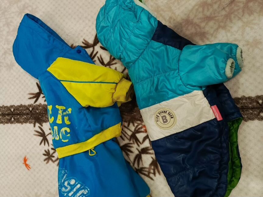 Одежда для собак мелких пород