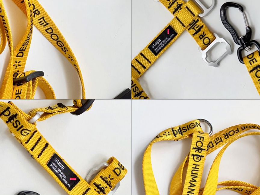 Mono yellow staya шлейка + поводок