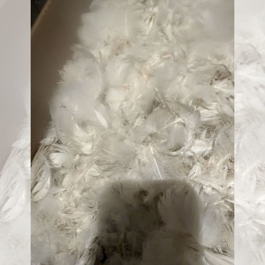 Пух гусиный