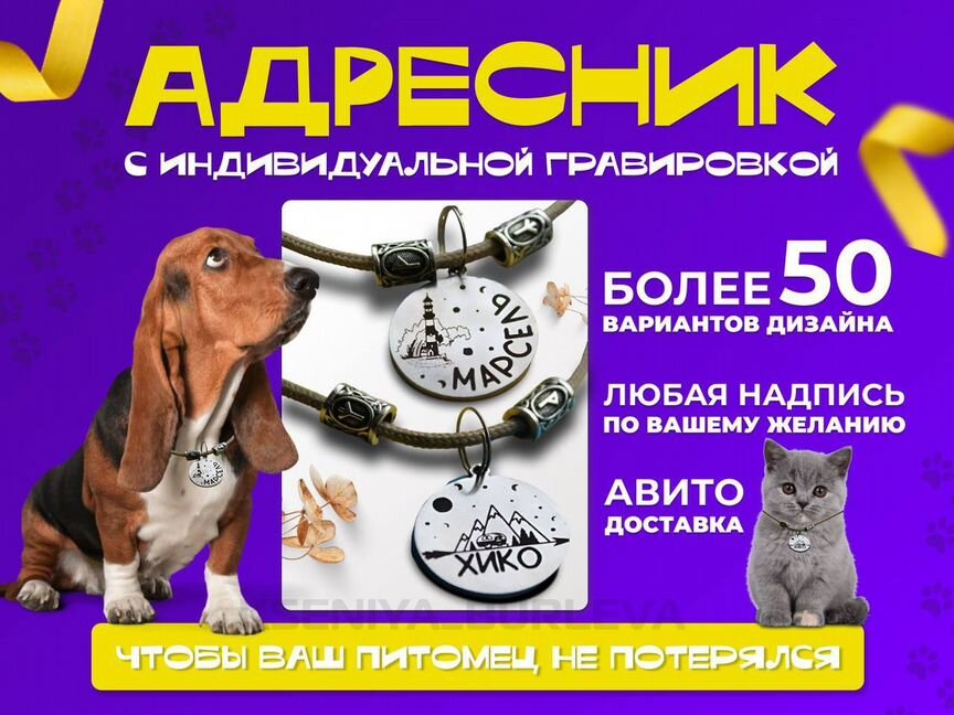Адресник с гравировкой для животных