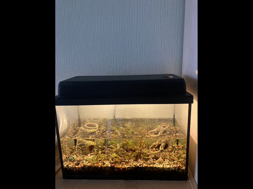 Продаю аквариум