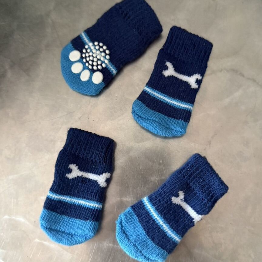 Носочки для собак