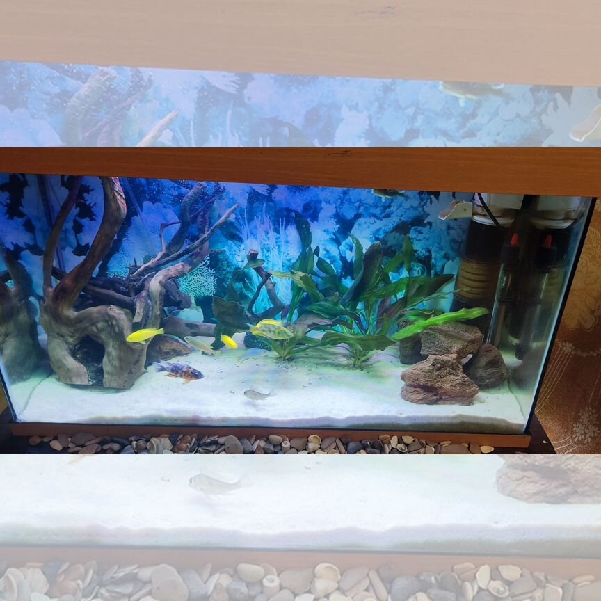 Аквариум 130-150 литров