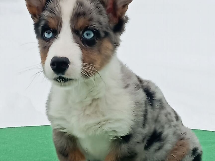 Единственный