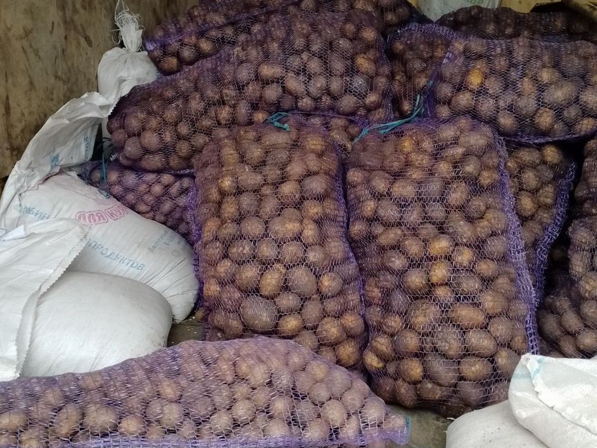 Картофель на корм скоту