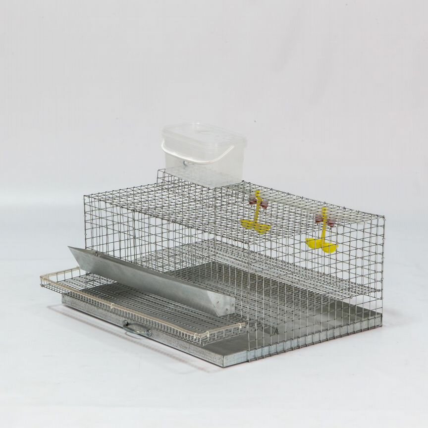 Клетка для перепелов с кормушкой