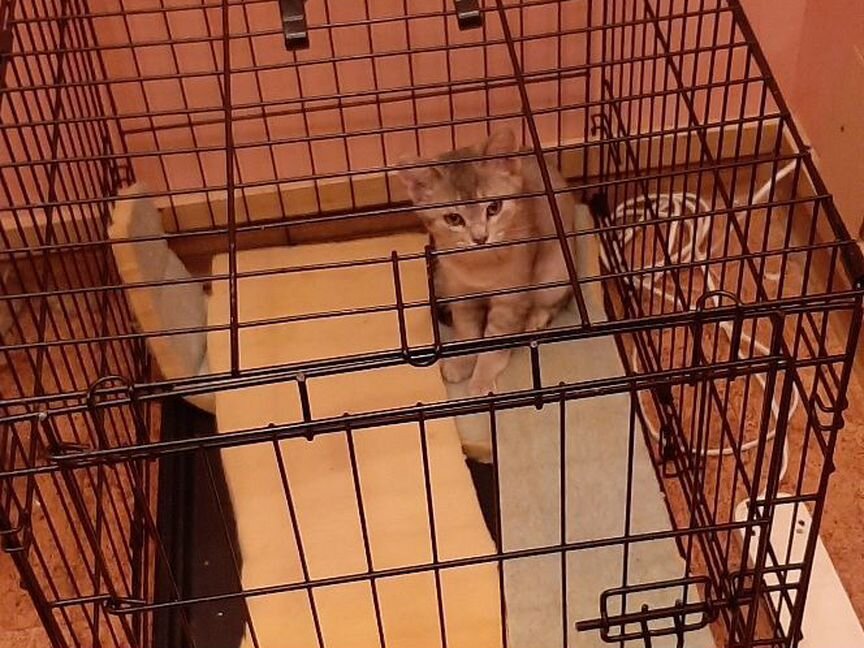 Клетка вольер для собак